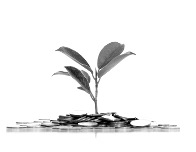 Personal and Business Banking | FORUM Credit Union